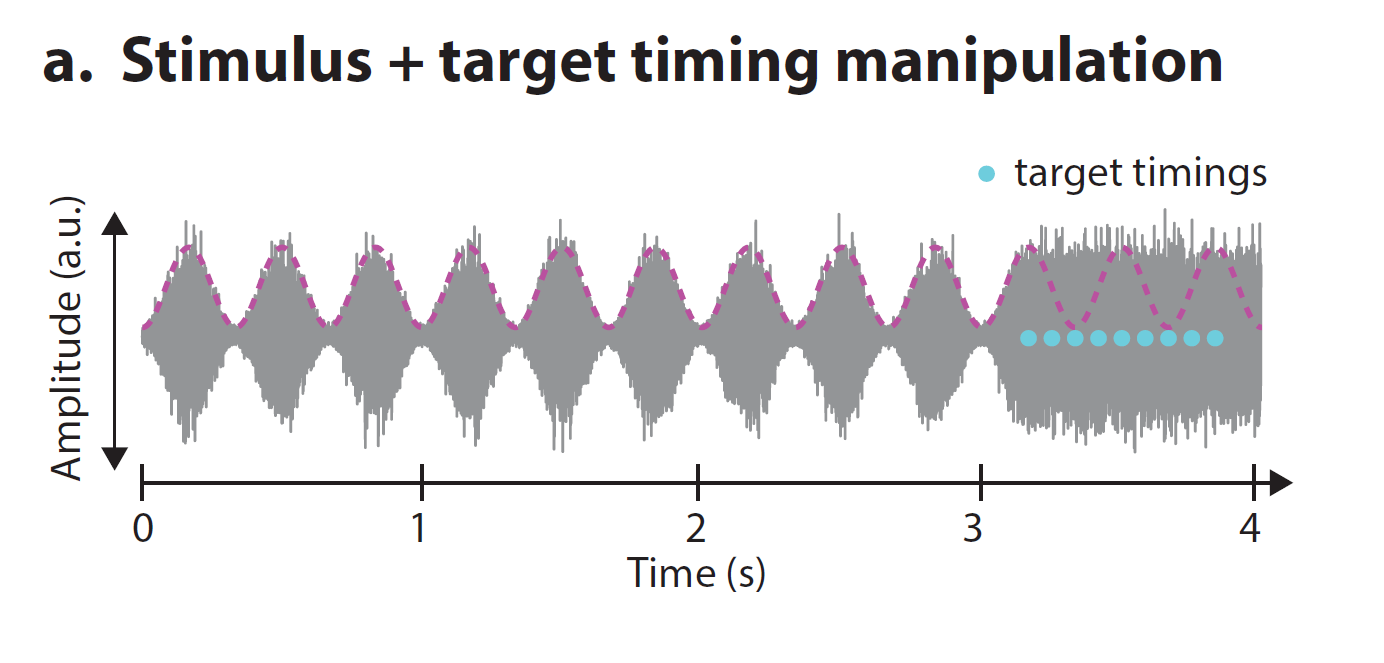 How strong is the rhythm of perception? | SPEAC | Hans Rutger Bosker